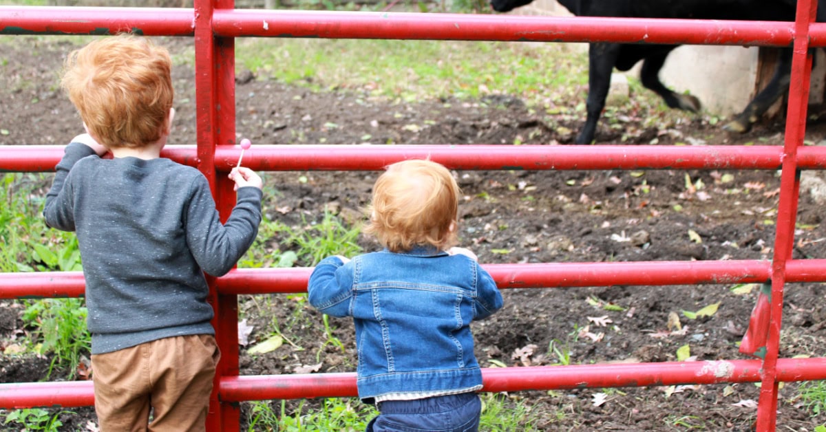 Keeping Sibling Groups Together